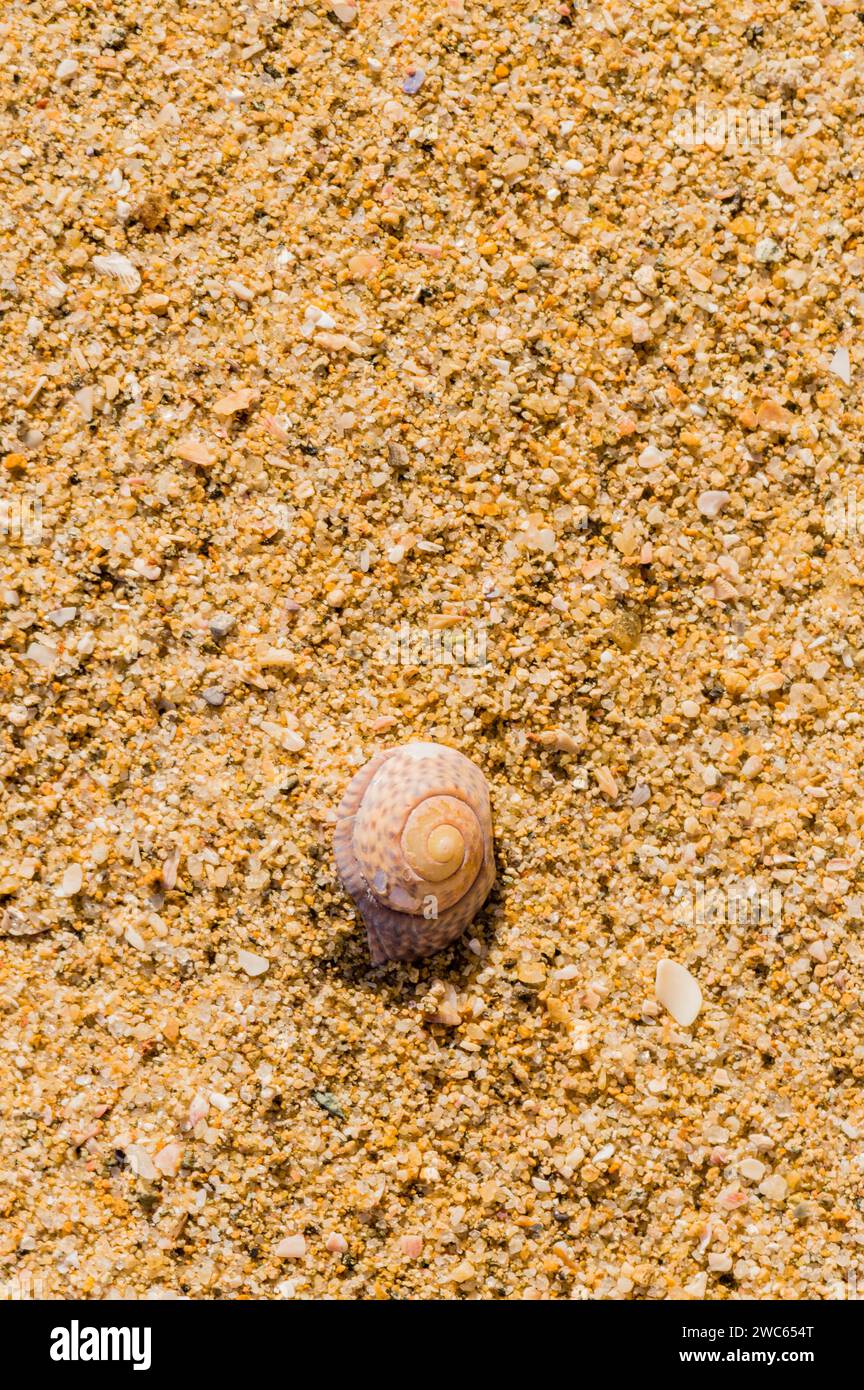 Marking the time hi-res stock photography and images - Alamy