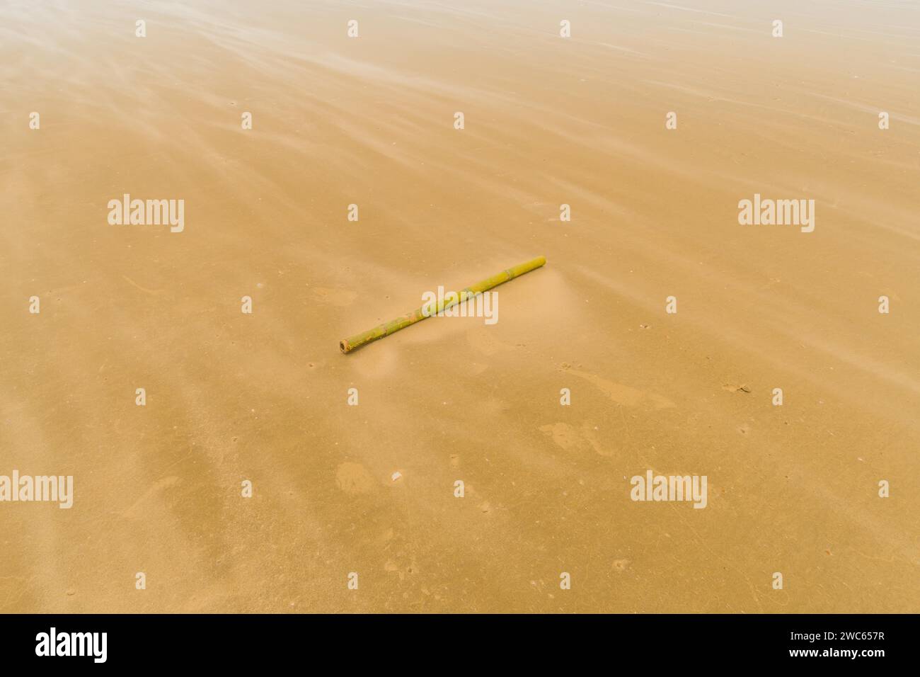 Solitary bamboo pole laying on windswept beach with streaks of sand ...