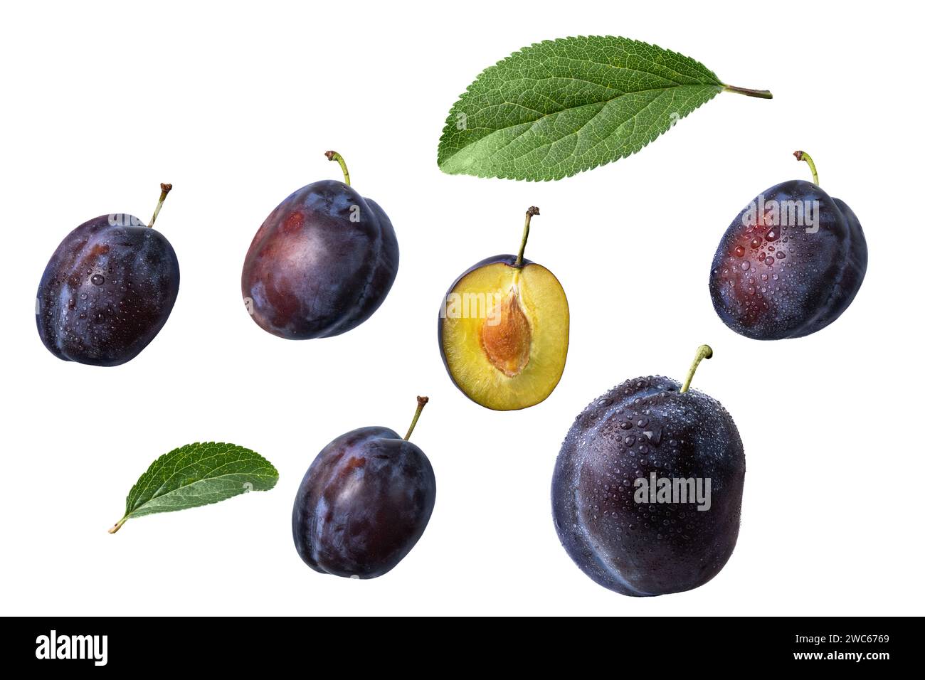 Set of different plum fruits and leaves isolated on white background ...