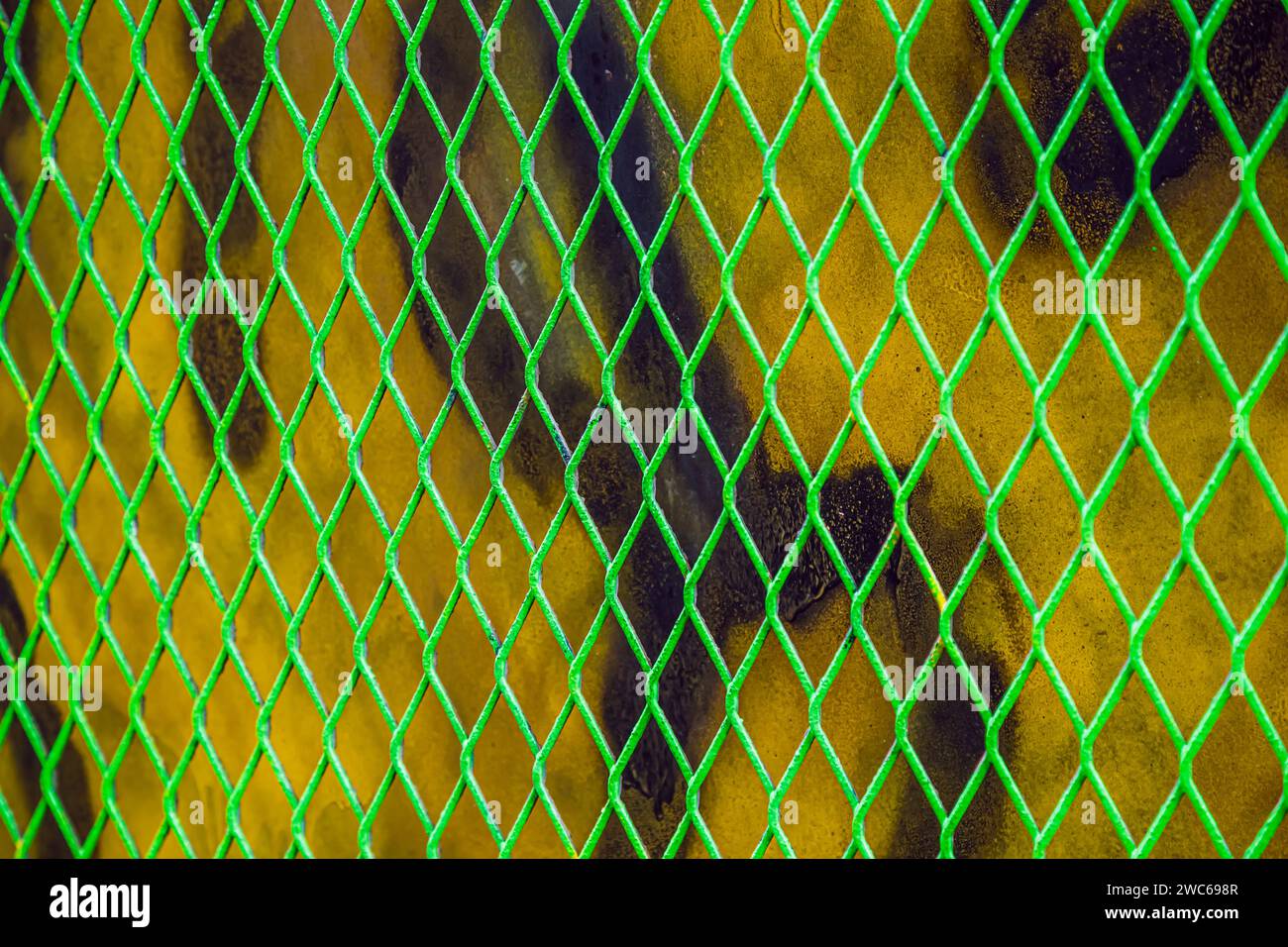 Green wire mesh with yellow painting background, NYC, USA Stock Photo ...