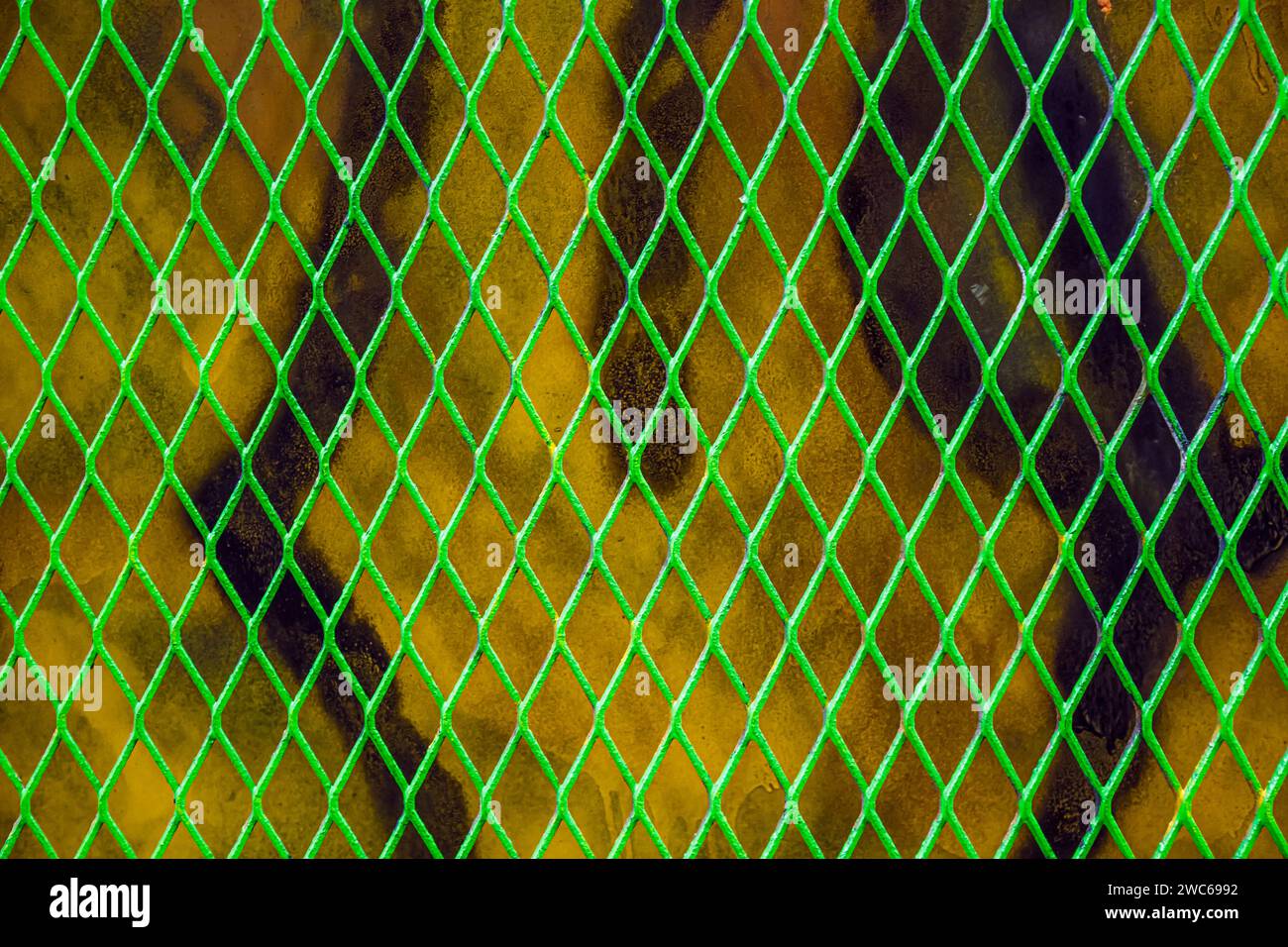 Green wire mesh with yellow painting background, NYC, USA Stock Photo ...