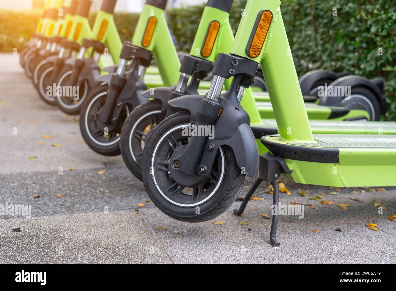 Scooters lined up in a summer parking lot. Shows only the front wheels ...