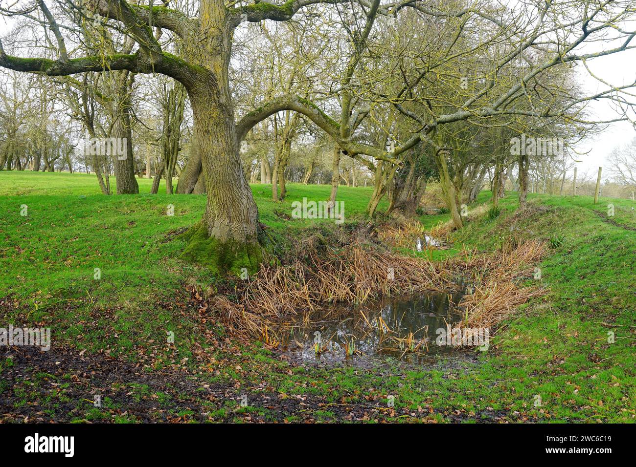 Section of the moat hi-res stock photography and images - Alamy