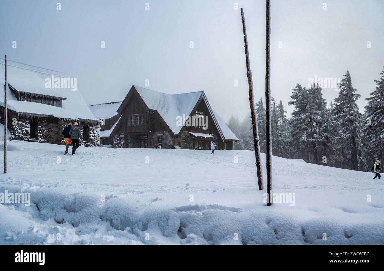 An individual gracefully glides down a picturesque ski slope, their ...