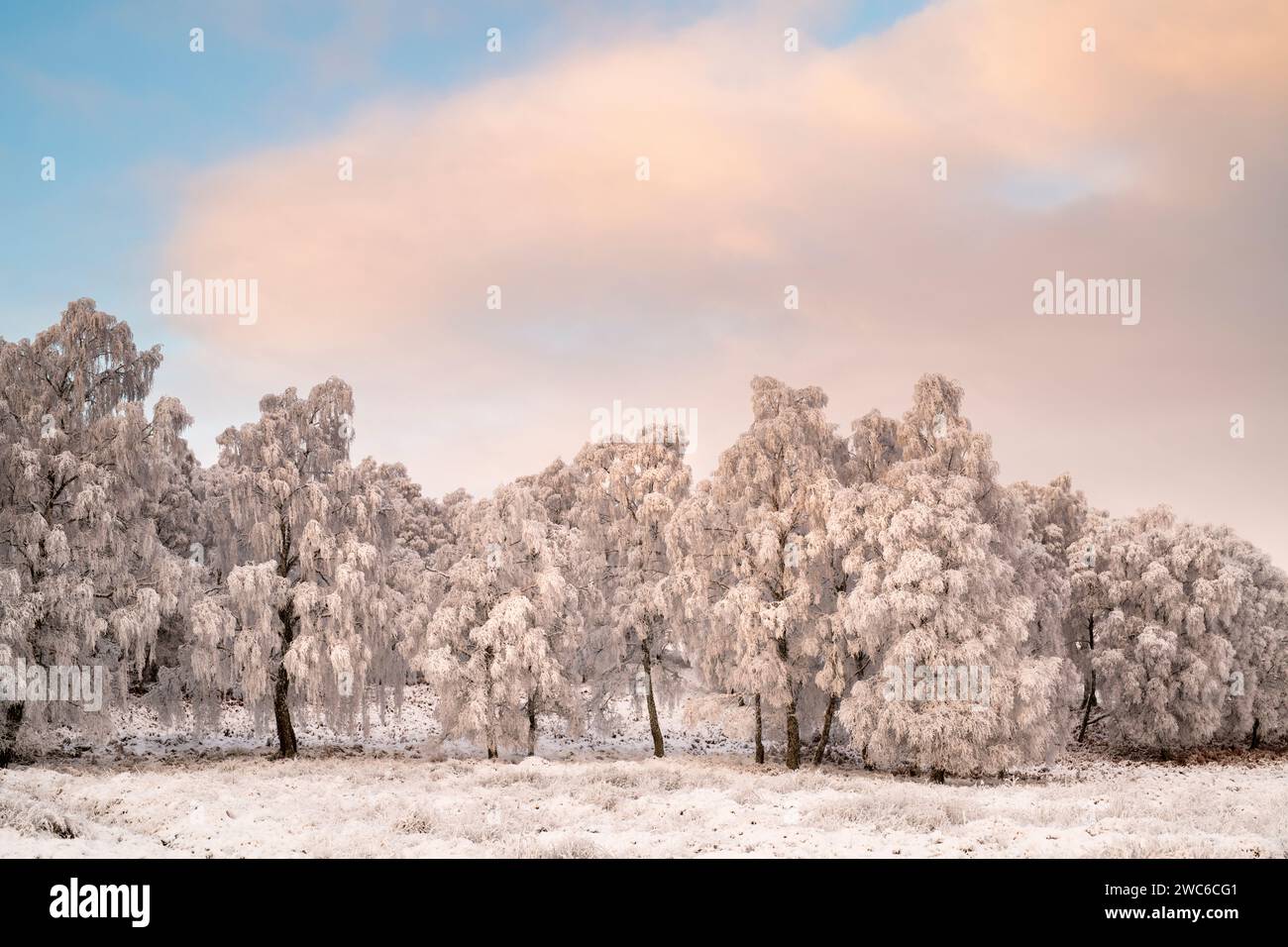 Scottish highlands speyside hi-res stock photography and images - Alamy