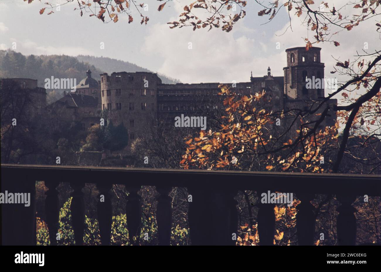 Heidelberg GER, 20230306, Aufnahme ca.1954, heidelberg *** Heidelberg ...