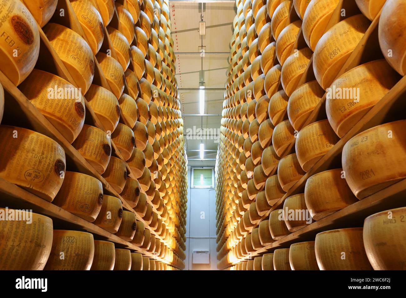 Modena, Emilia Romagna, Italy, January 2024, phases of the processing ...