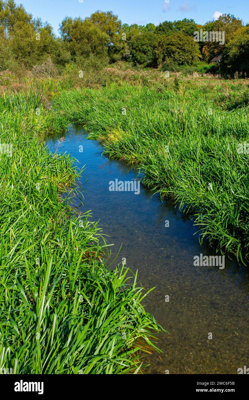 The River Chess near Rickmansowrth - a chalk stream in southern England ...