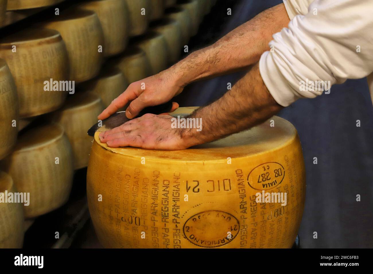 Modena, Emilia Romagna, Italy, January 2024, phases of the processing ...
