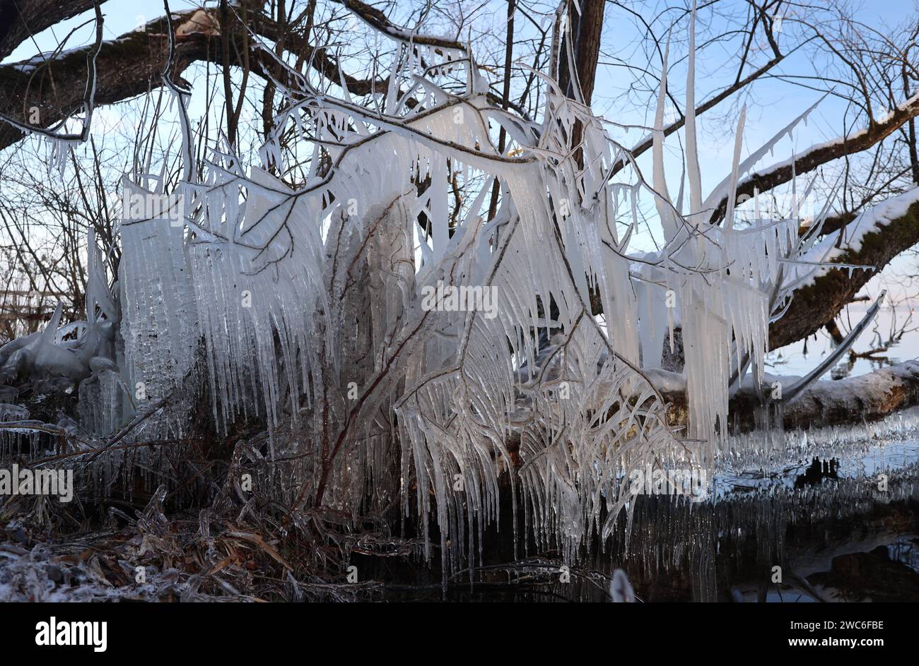 Tutzing, Bayern, Deutschland 14. Januar 2024: Ein Wintertag in Tutzing ...