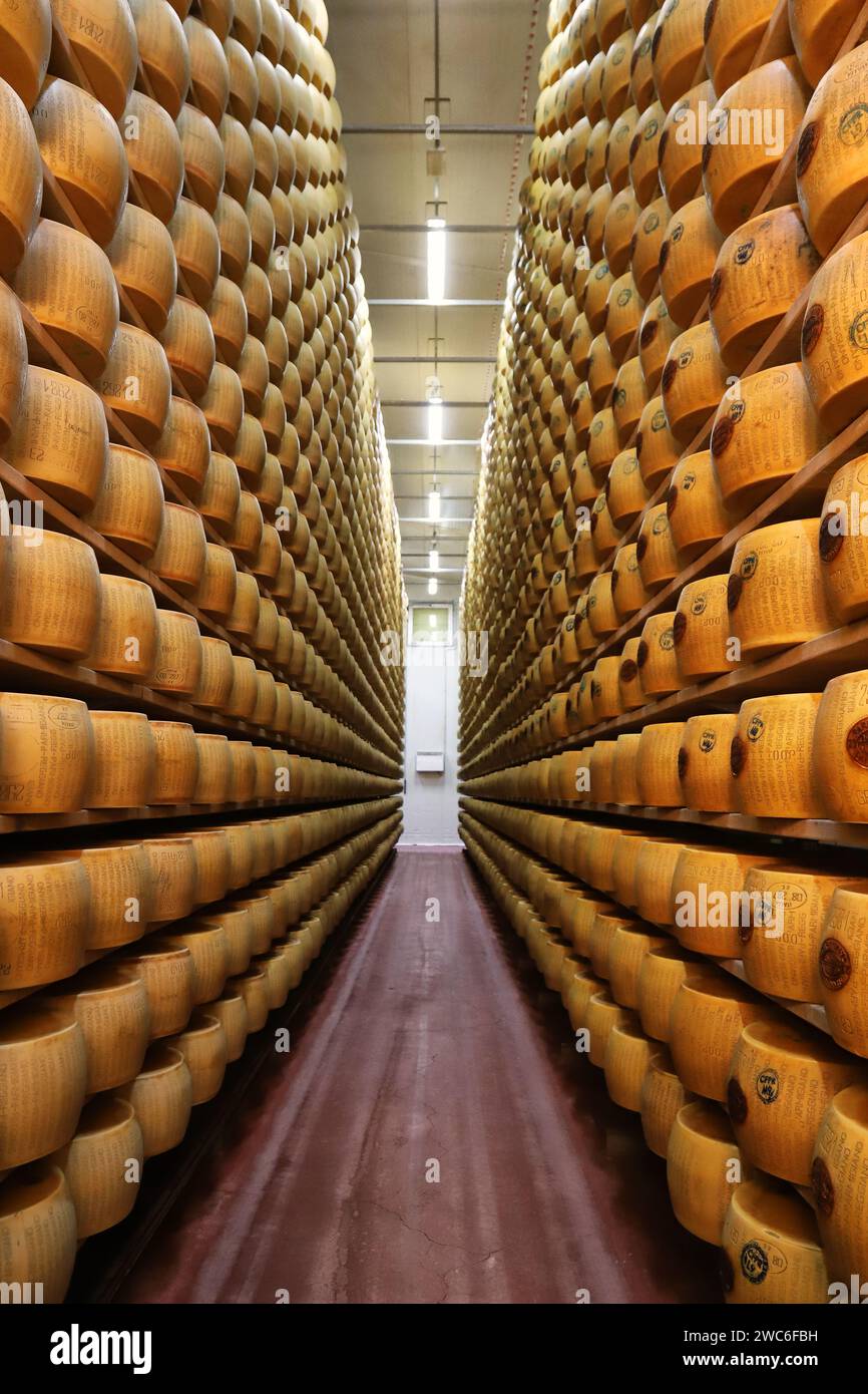 Modena, Emilia Romagna, Italy, January 2024, phases of the processing ...