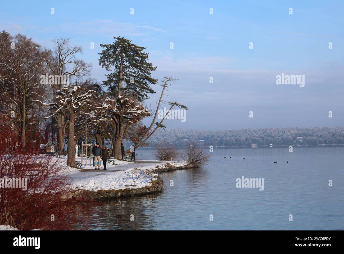 Tutzing, Bayern, Deutschland 14. Januar 2024: Ein Wintertag in Tutzing ...