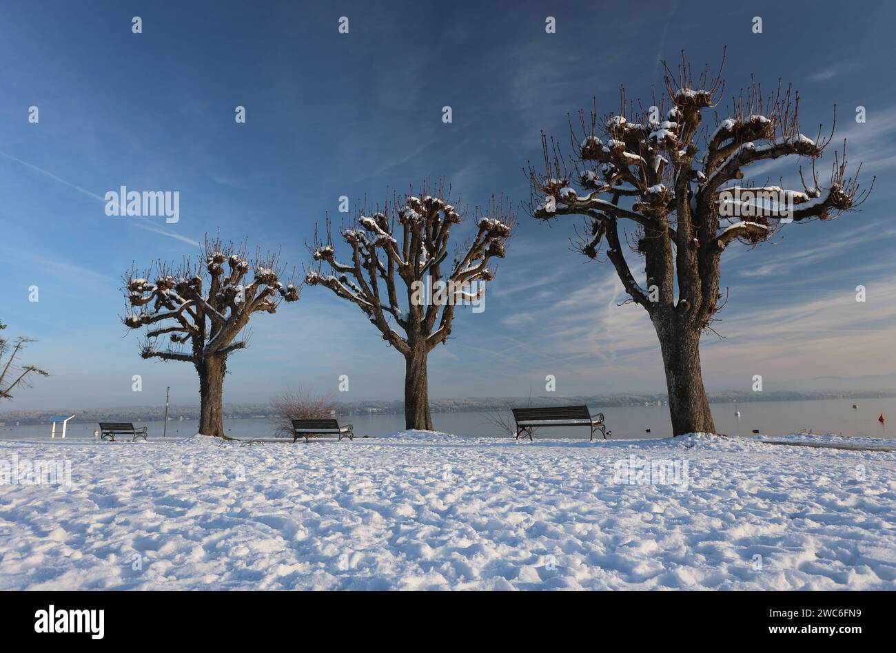 Tutzing, Bayern, Deutschland 14. Januar 2024: Ein Wintertag in Tutzing ...