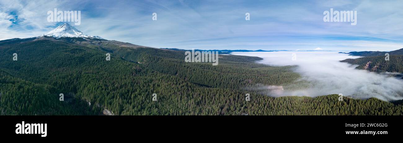 Healthy forest covers the eastern slopes near Mt. Hood, Oregon. The ...