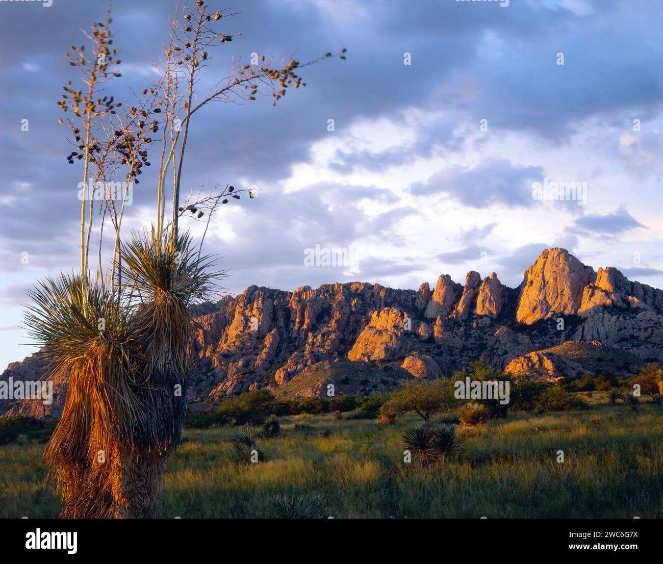 The west side of the Dragoon Mountains in Southern Arizona Stock Photo ...