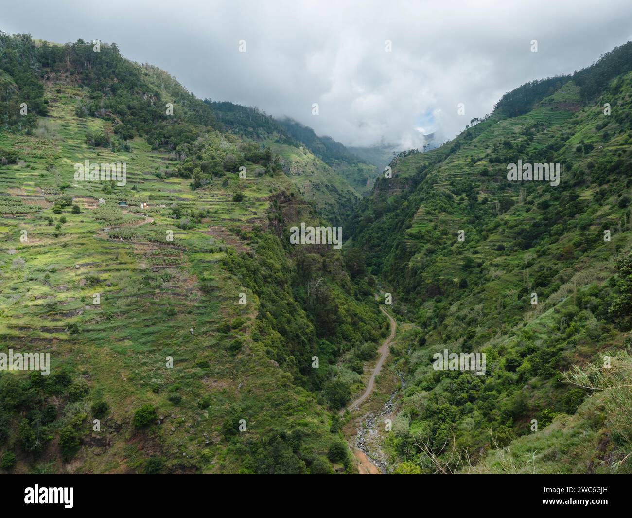 View of valley with green mountains and tropical plants, road and ...
