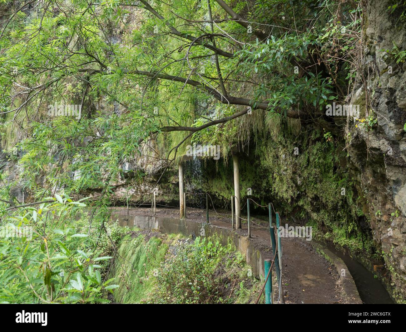 View of levada, water irrigation channel and tropical plants from ...