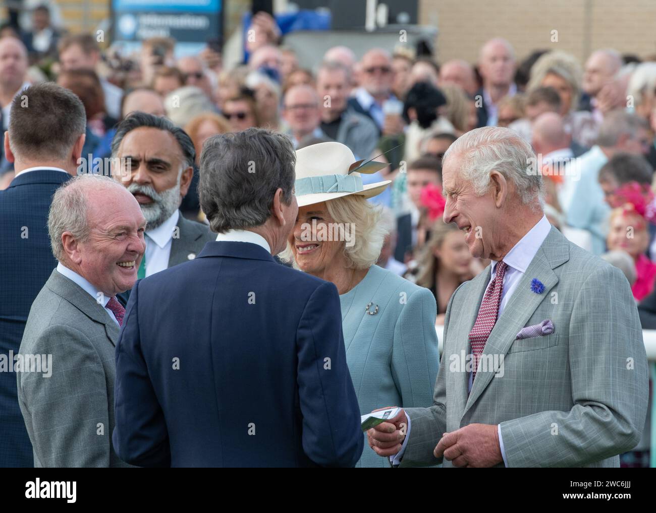 Desert hero horse hi-res stock photography and images - Alamy