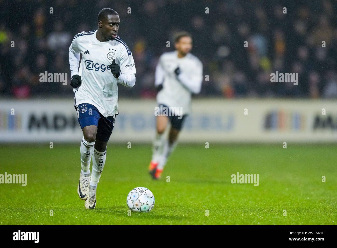 Forbs hi-res stock photography and images - Alamy