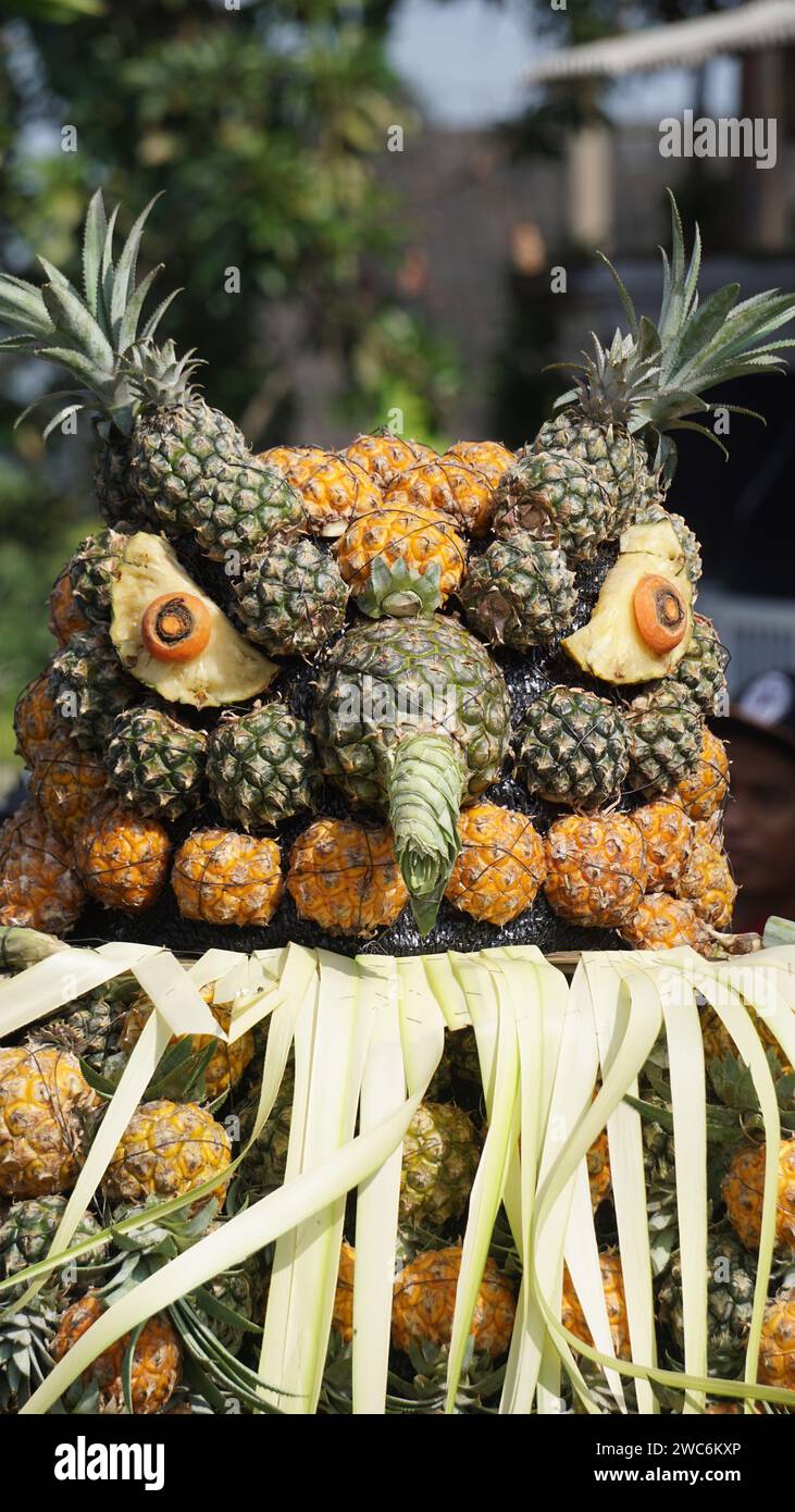 Pineapple tree (Ananas comosus) with a natural background. Exotic ...