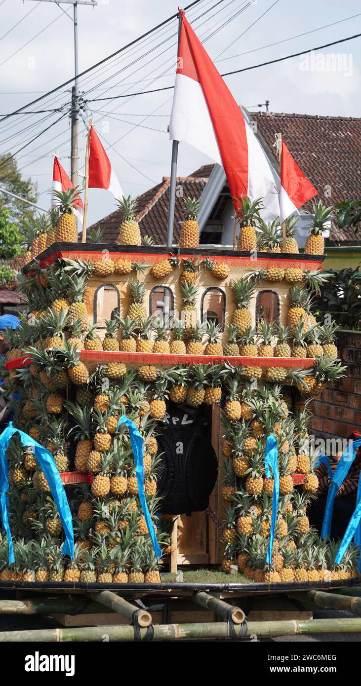 Pineapple tree (Ananas comosus) with a natural background. Exotic ...