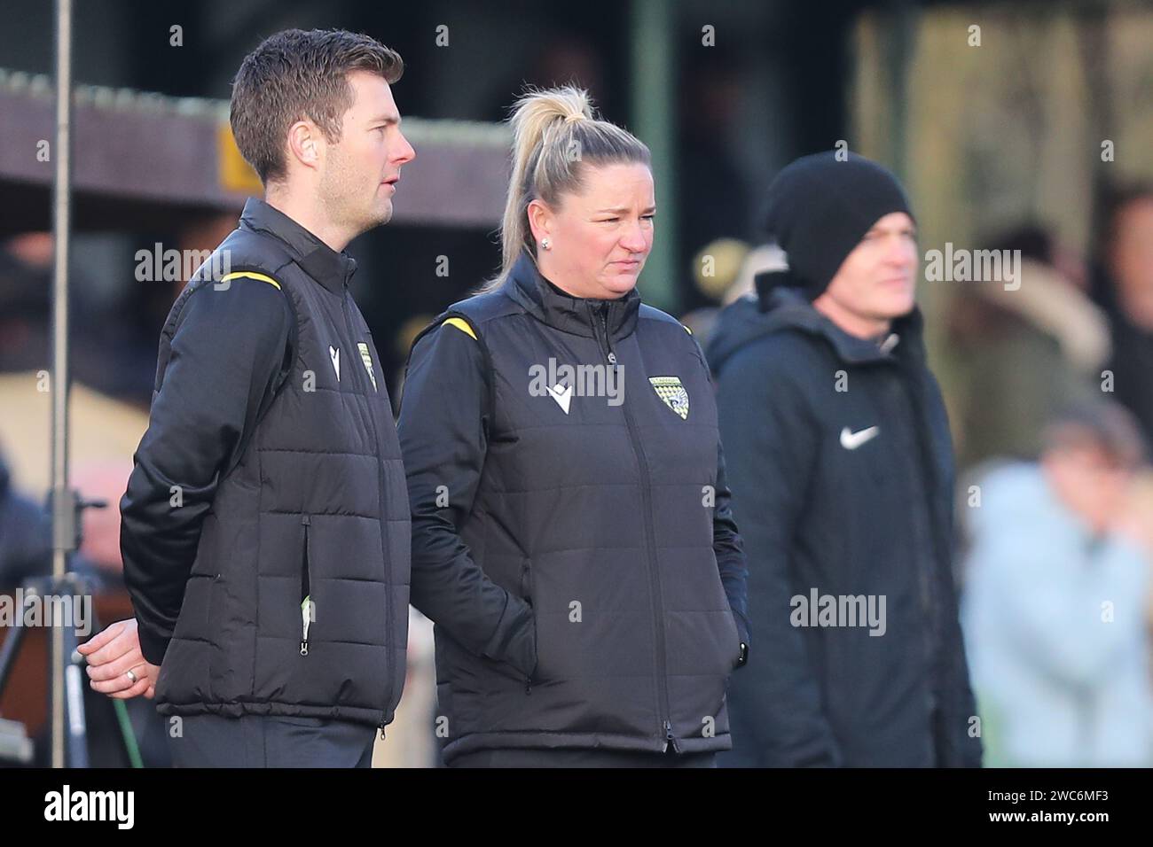 Stanway pegasus hi-res stock photography and images - Alamy