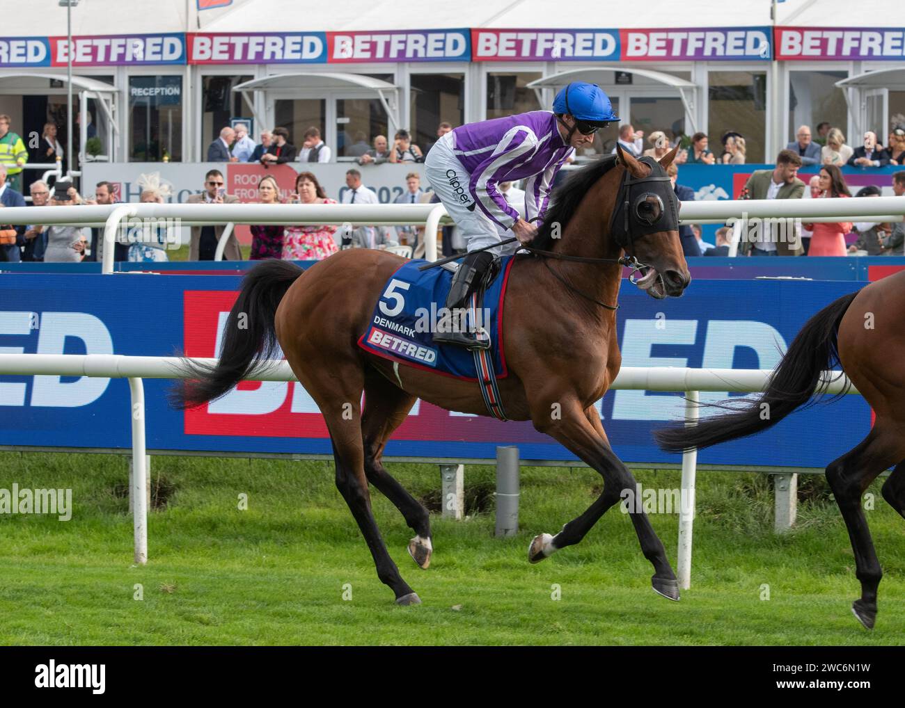 Top flat racing jockey hi-res stock photography and images - Alamy