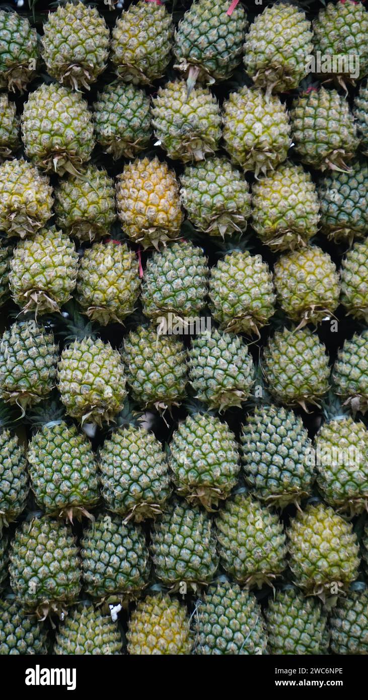 Pineapple tree (Ananas comosus) with a natural background. Exotic ...