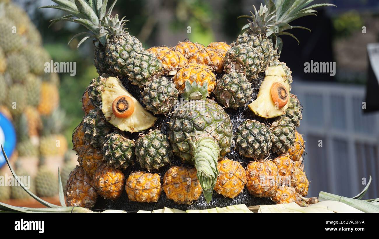 Pineapple tree (Ananas comosus) with a natural background. Exotic ...
