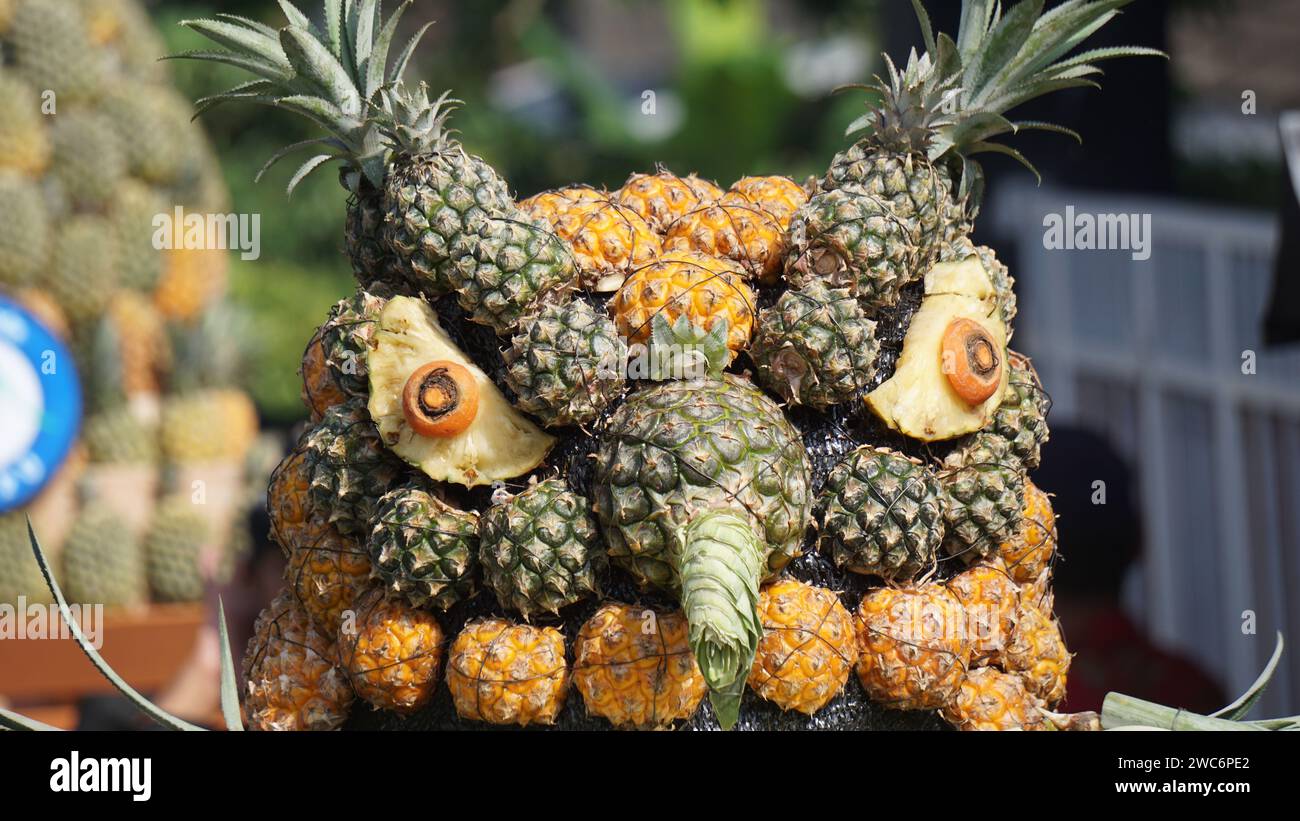 Pineapple tree (Ananas comosus) with a natural background. Exotic ...