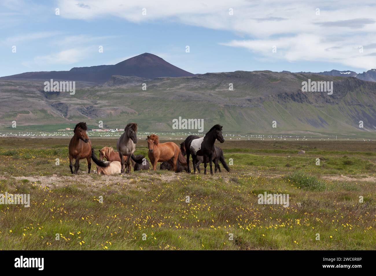 Beautiful mountain landscape horses hi-res stock photography and images - Alamy
