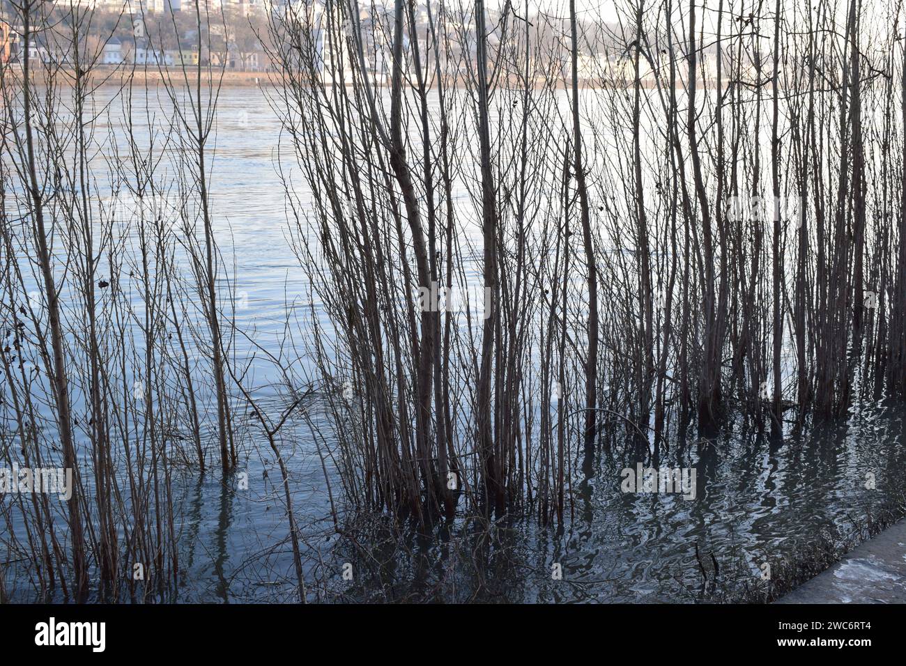 Driftwood flood flooded hi-res stock photography and images - Alamy