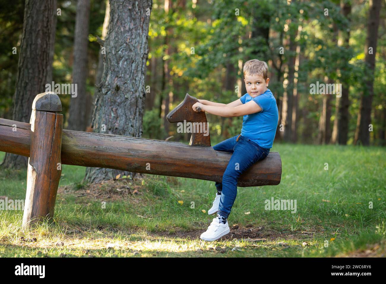 Portrait of a boy sitting on a horse shape log seesaw against a forest ...