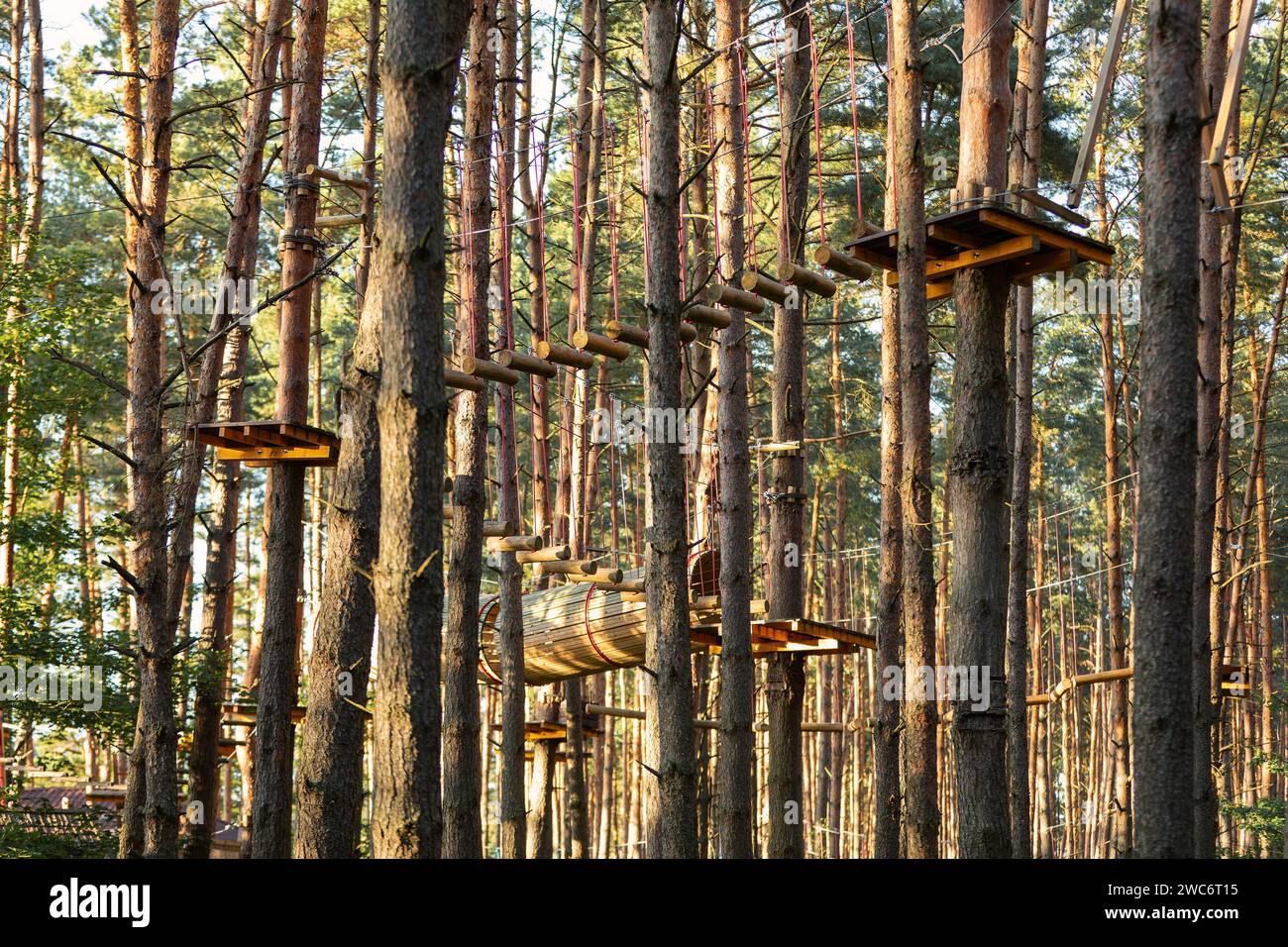 Obstacle course in the trees. Climbing in an extreme park. Outdoor ...