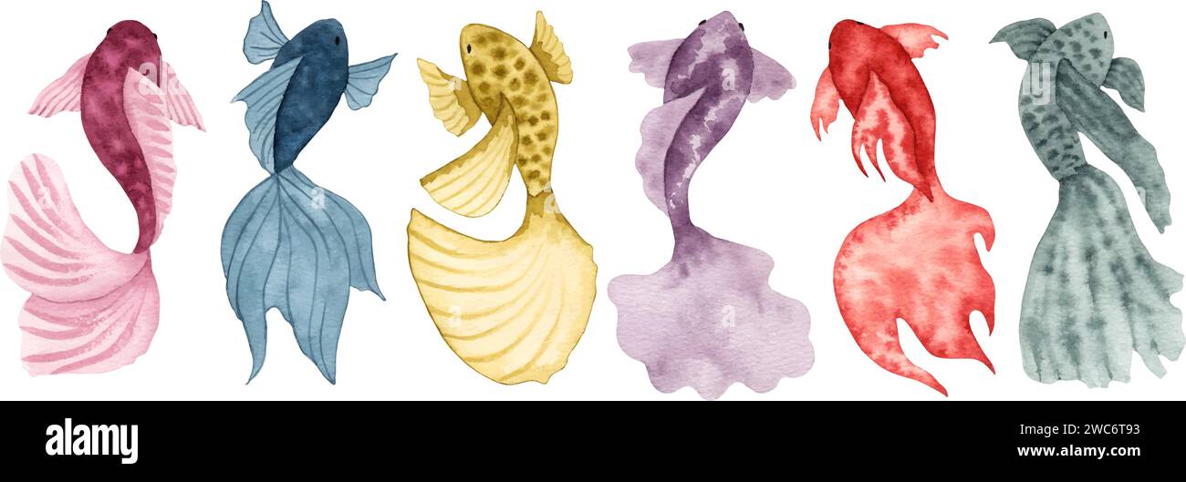 Collection of watercolor fish.Simple, stylized style.Solid color sea ...