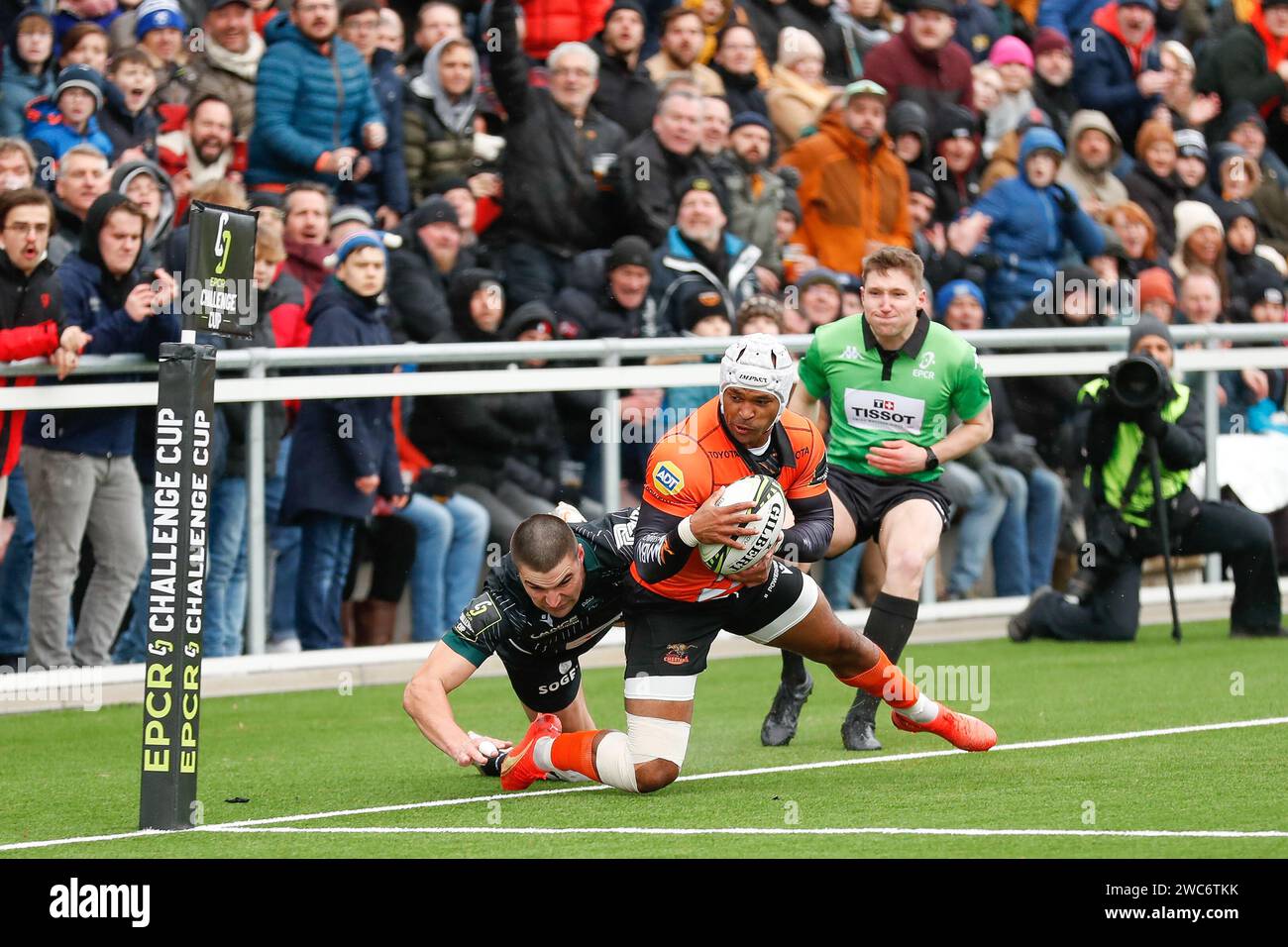 Cheetah rugby hi-res stock photography and images - Alamy