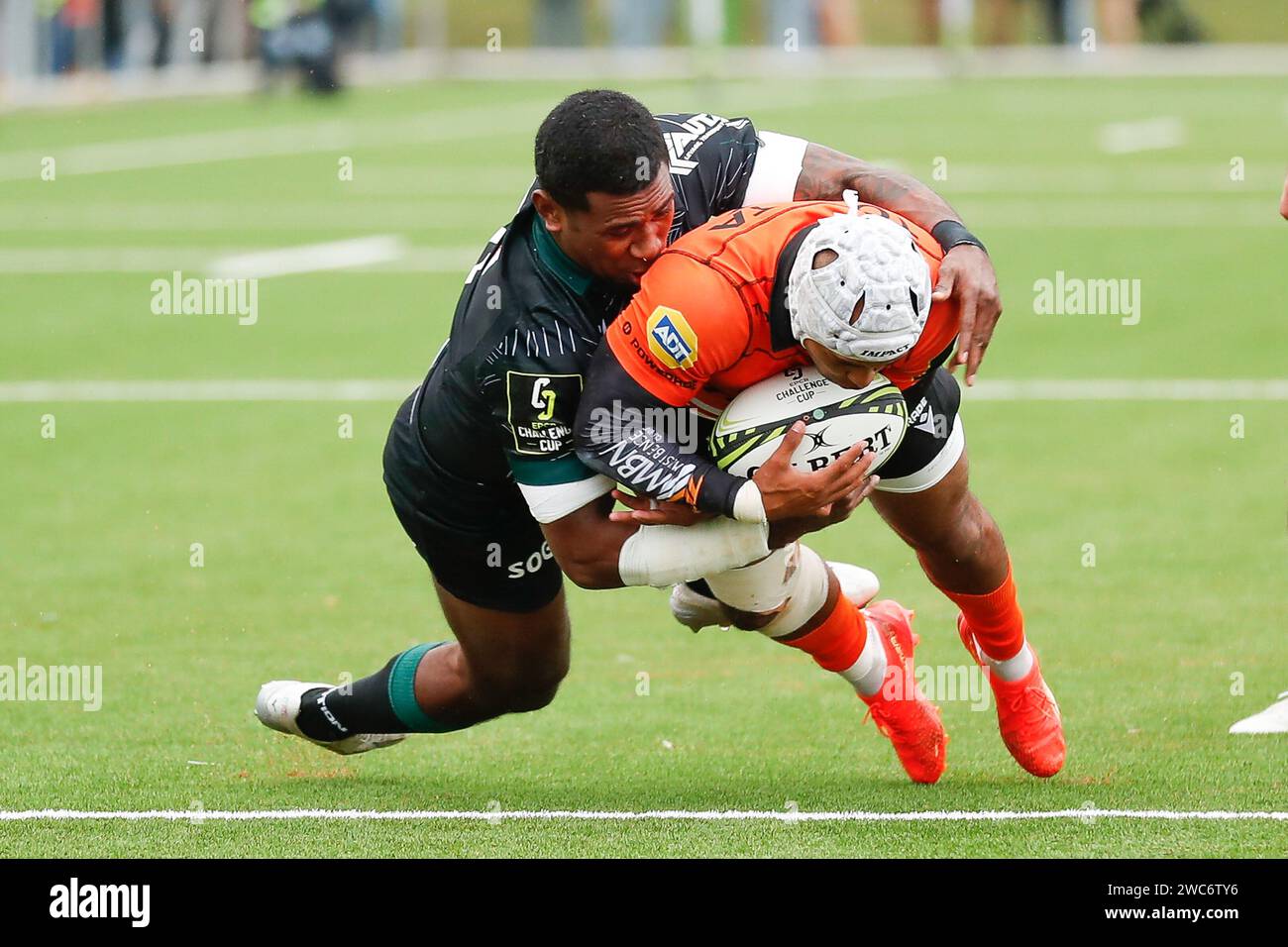 Cheetahs rugby hi-res stock photography and images - Alamy