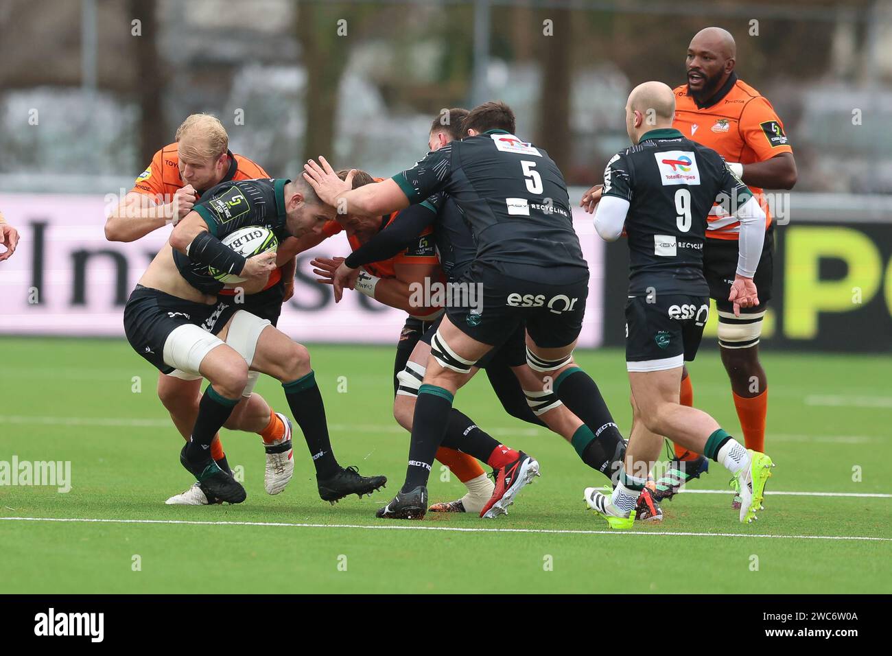 Cheetah rugby hi-res stock photography and images - Alamy