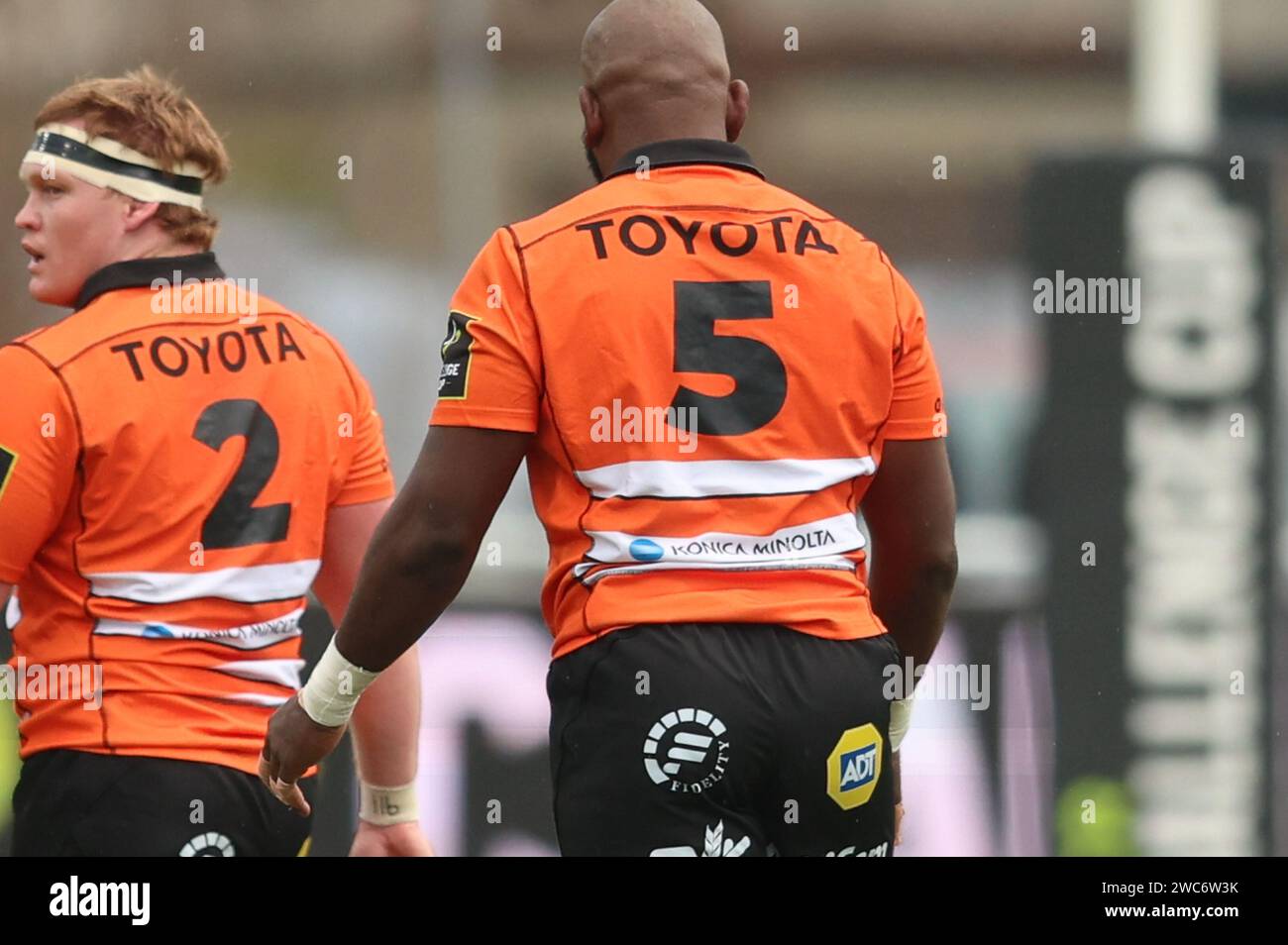 Cheetah rugby hi-res stock photography and images - Alamy