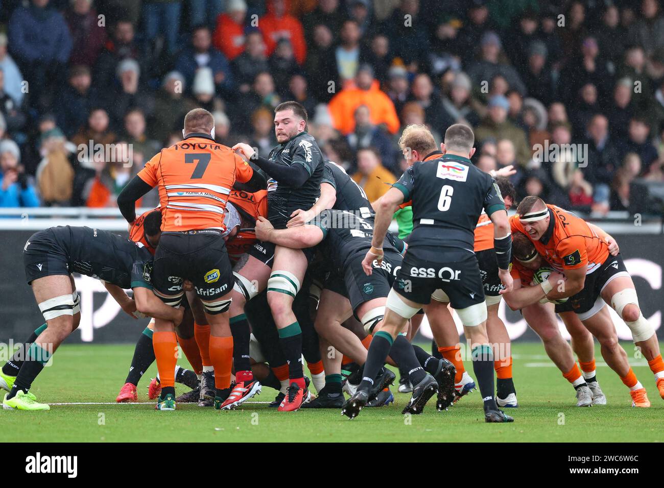Cheetah rugby hi-res stock photography and images - Alamy