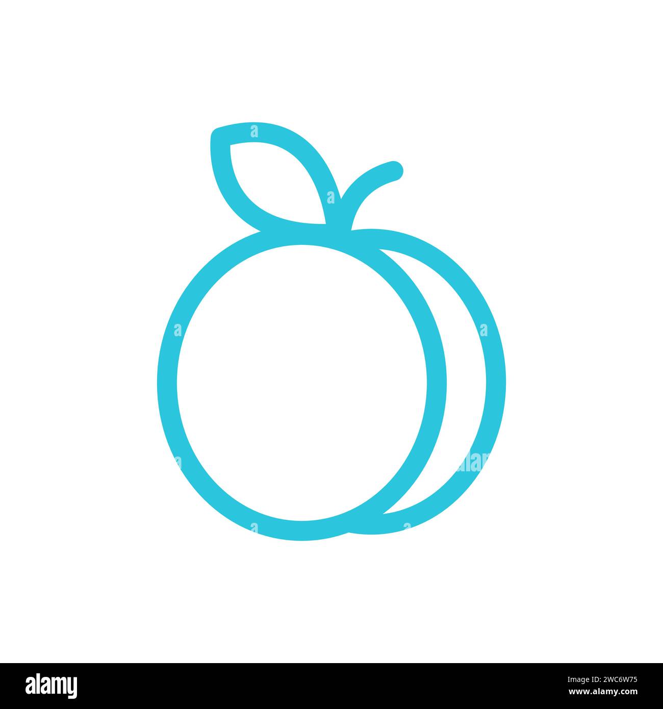 Apricot botanical illustration Stock Vector Images - Alamy