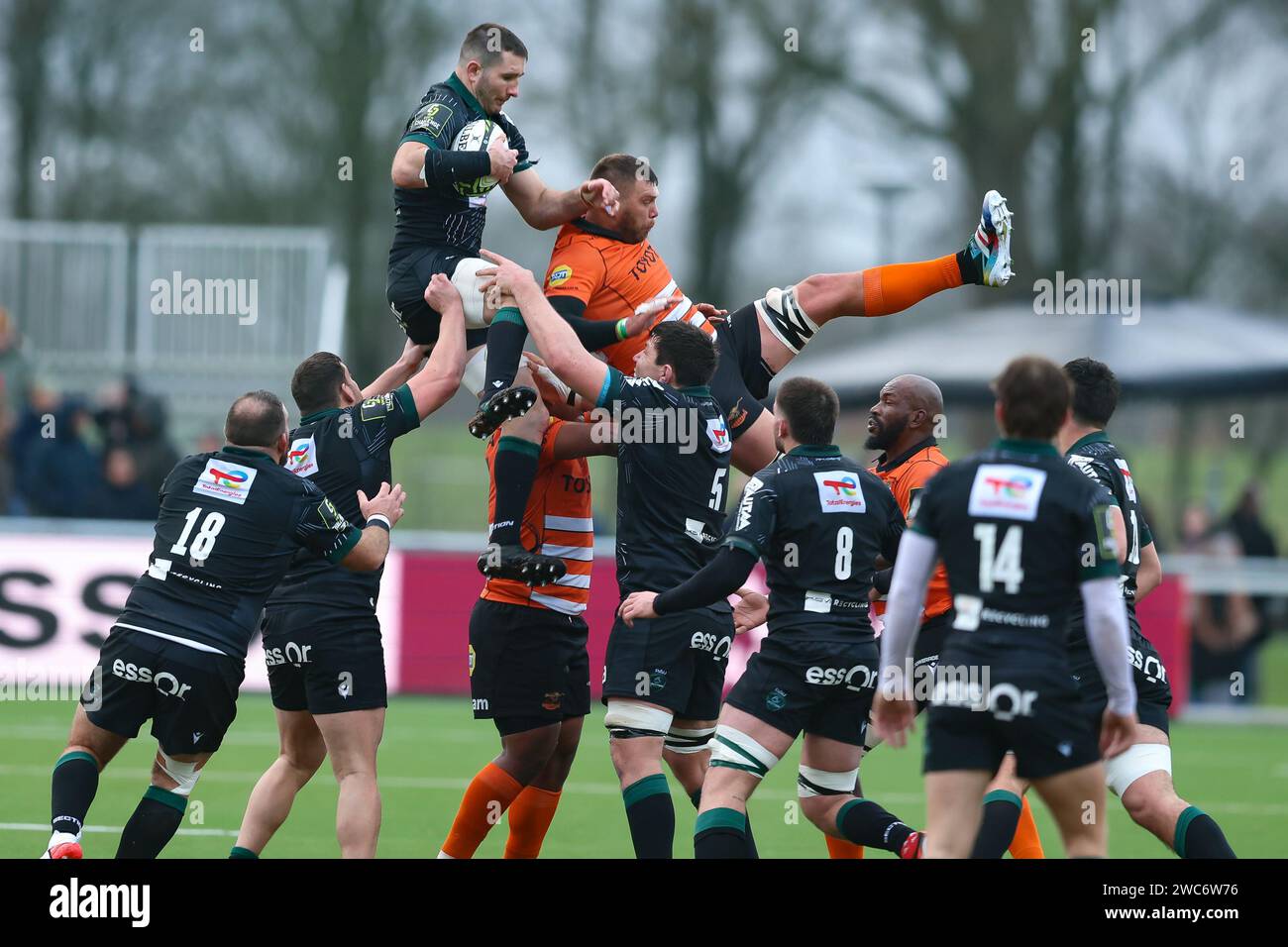 Cheetah rugby hi-res stock photography and images - Alamy