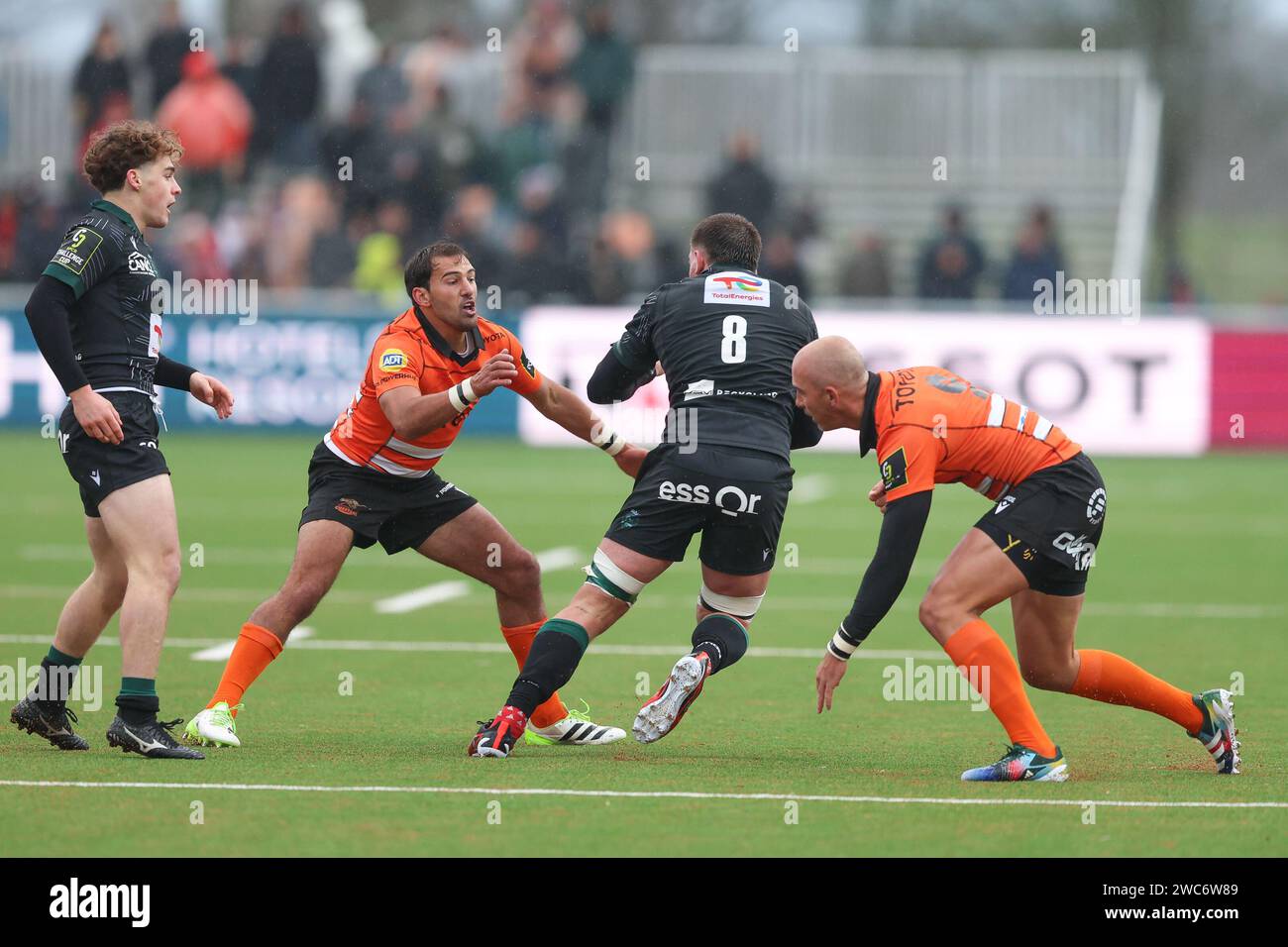 Hewat hi-res stock photography and images - Alamy