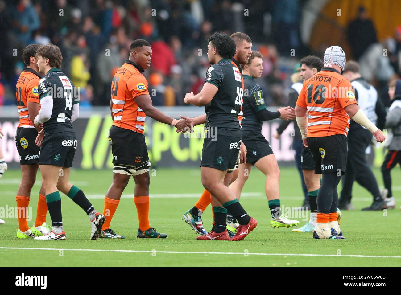 Cheetah rugby hi-res stock photography and images - Alamy