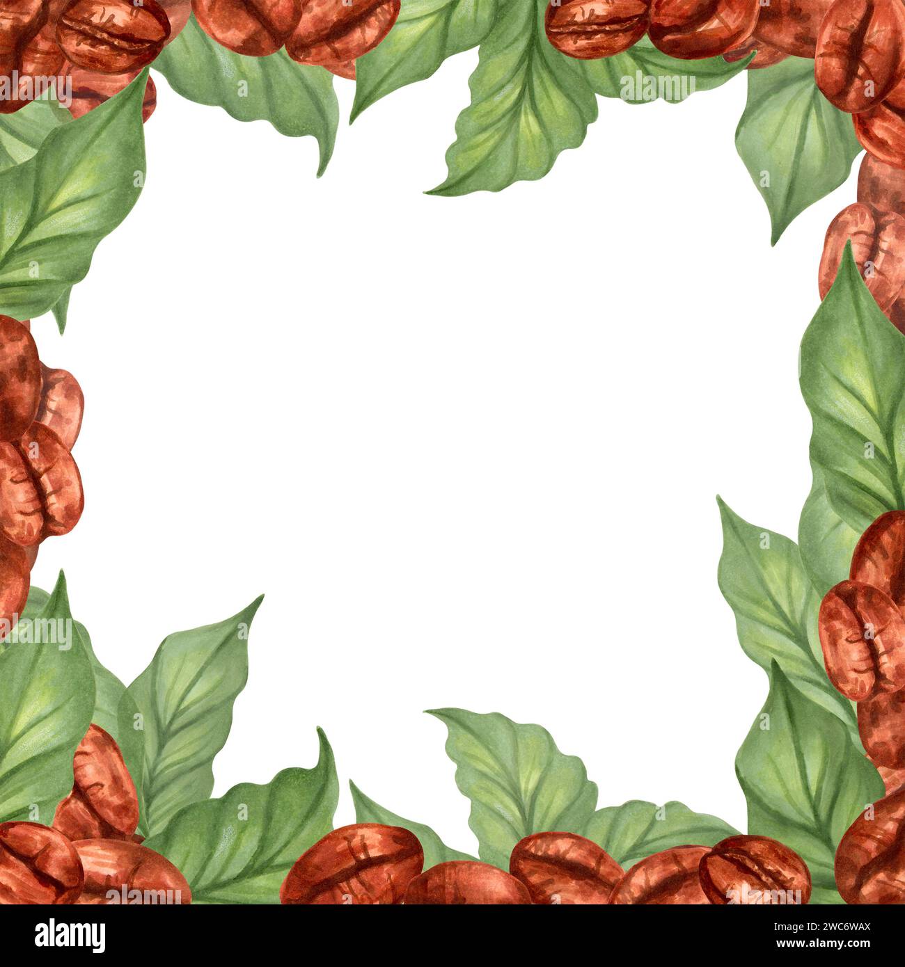 Square frame of coffee beans with leaves. Aroma of Robusta and Arabica ...