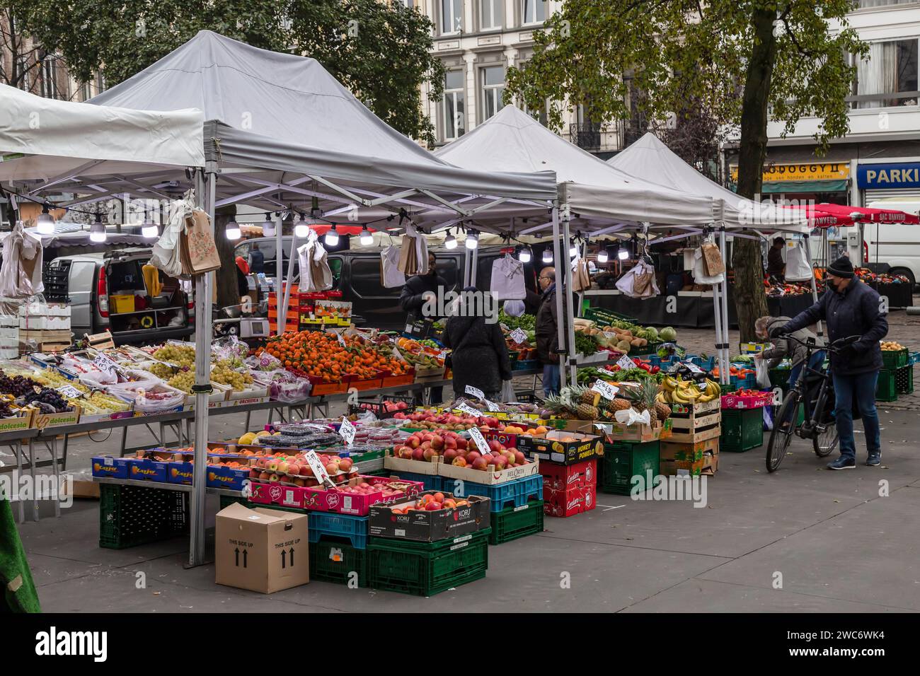 Vegetable square hi-res stock photography and images - Alamy