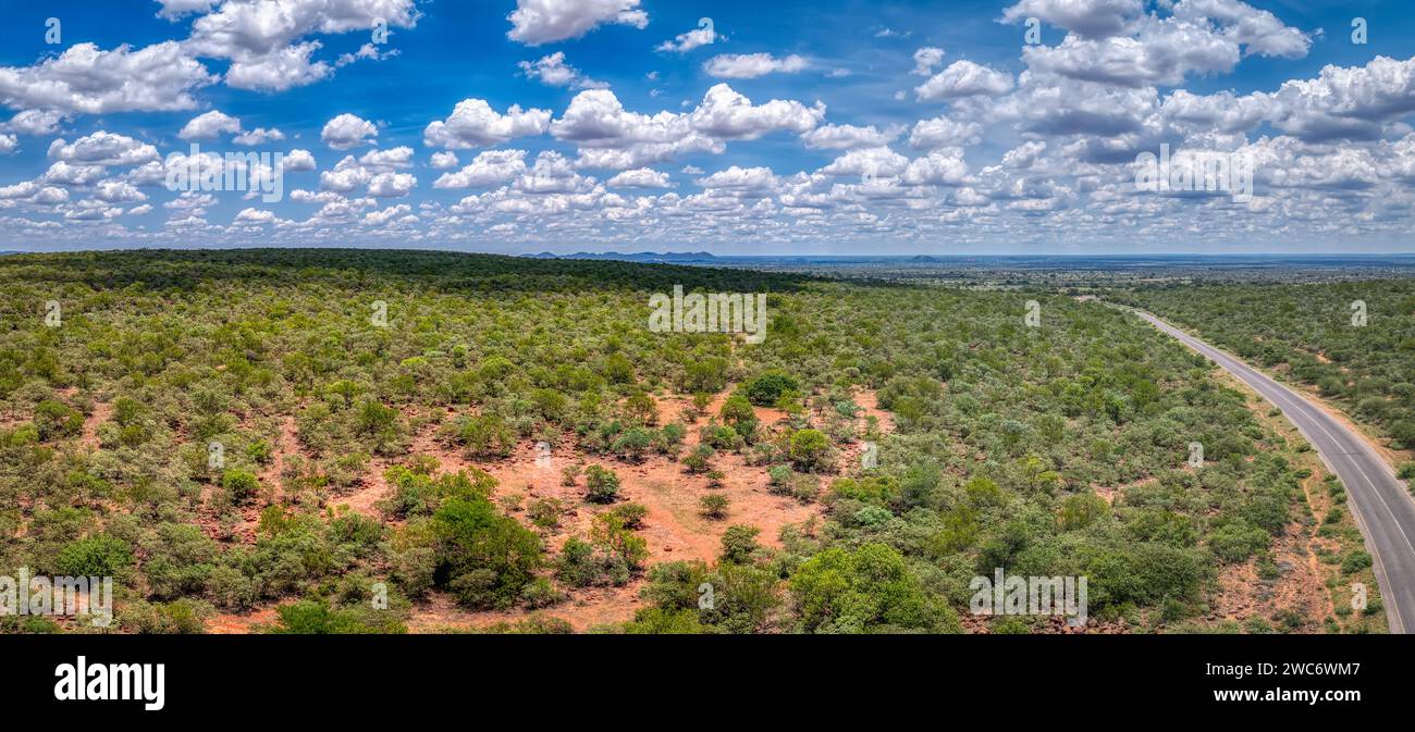 aerial view of typical african landscape, bushveld with acacia trees ...