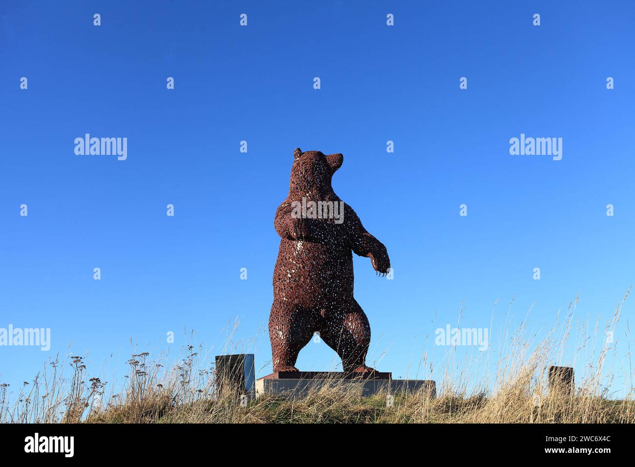 Dunbear, a 5 meter steel sculpture by Andy Scott, created as a tribute ...