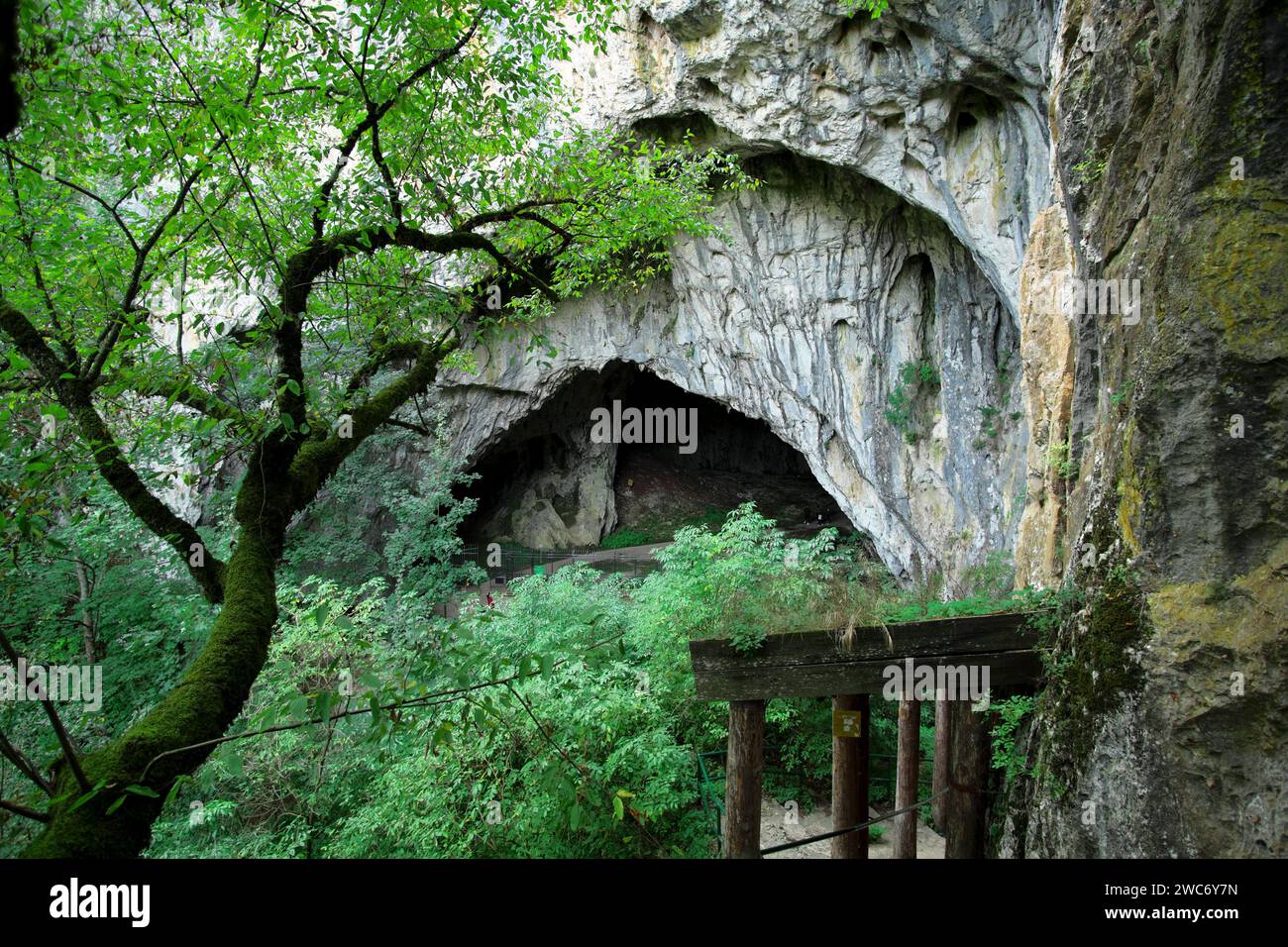 Potok cave hi-res stock photography and images - Alamy