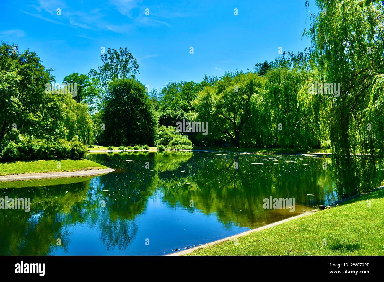 Weeping willow trees lake hi-res stock photography and images - Alamy